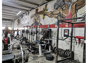 3 Best Gyms in Arlington, TX - ThreeBestRated