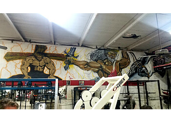 3 Best Gyms in Arlington, TX - Expert Recommendations