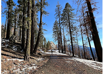 3 Best Hiking Trails in Visalia, CA - Expert Recommendations