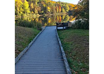 3 Best Hiking Trails in Springfield, MA - ThreeBestRated