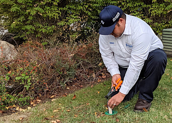 3 Best Pest Control Companies in Raleigh, NC