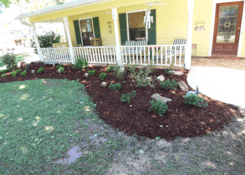3 Best Landscaping Companies in Jackson, MS - Expert Recommendations