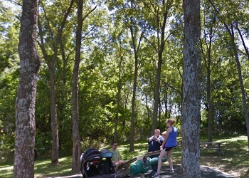 3 Best Public Parks in Springfield, MO - Expert Recommendations