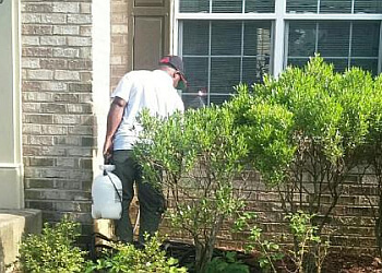 3 Best Pest Control Companies in Washington, DC - Expert Recommendations