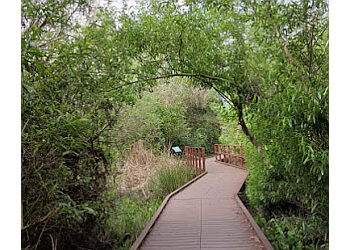 3 Best Hiking Trails in Oceanside, CA - Expert Recommendations