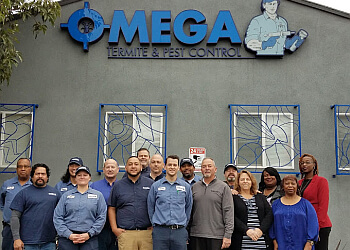 3 Best Pest Control Companies in Berkeley, CA - Expert Recommendations