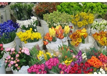 3 Best Florists in Baton Rouge, LA - Expert Recommendations