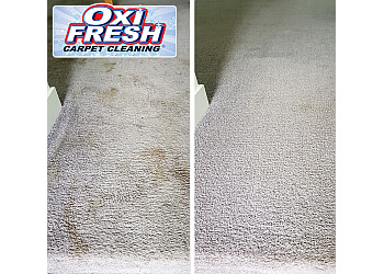 3 Best Carpet Cleaners in Kansas City, KS - Expert Recommendations