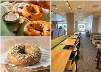 3 Best Bagel Shops in Manchester, NH - Expert Recommendations