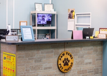 3 Best Pet Grooming in Port St Lucie, FL - Expert Recommendations