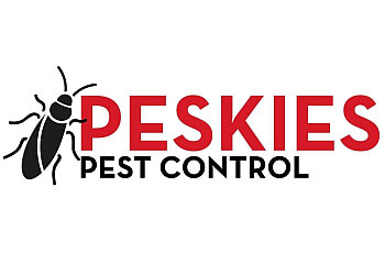 3 Best Pest Control Companies in Birmingham, AL - Expert Recommendations
