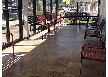 3 Best Veterinary Clinics in Houston, TX - Expert Recommendations