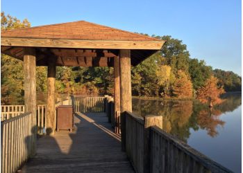 3 Best Hiking Trails in Little Rock, AR - Expert Recommendations