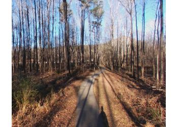 3 Best Hiking Trails in Little Rock, AR - Expert Recommendations