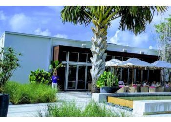 3 Best Vegetarian Restaurants in Miami, FL - Expert Recommendations