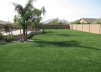 3 Best Lawn Care Services in Fremont, CA - Expert Recommendations