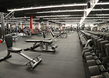 3 Best Gyms in Tampa, FL - Expert Recommendations