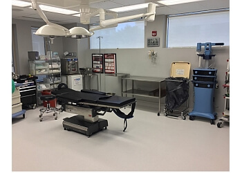 3 Best Plastic Surgeon In Washington Dc Expert Recommendations