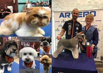 3 Best Pet Grooming in Anchorage, AK - ThreeBestRated