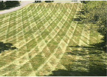3 Best Lawn Care Services in Baltimore, MD
