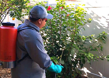 3 Best Pest Control Companies in Anaheim, CA - ThreeBestRated