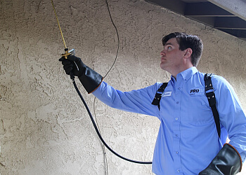 3 Best Pest Control Companies in Pasadena, CA - Expert Recommendations