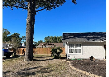 3 Best Tree Services in Virginia Beach, VA - Expert Recommendations