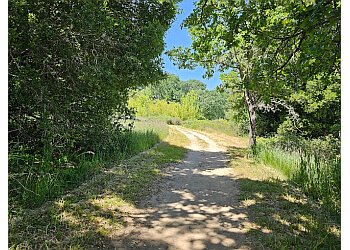 3 Best Hiking Trails in Santa Rosa, CA