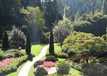 3 Best Landscaping Companies in Oceanside, CA - Expert Recommendations