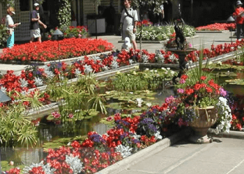 3 Best Landscaping Companies in Oceanside, CA - Expert Recommendations