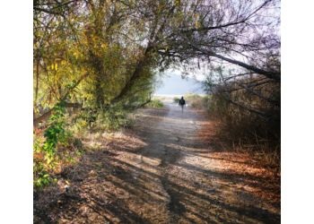 3 Best Hiking Trails in Oxnard, CA - Expert Recommendations