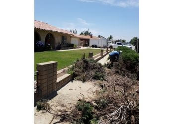 3 Best Tree Services in Rancho Cucamonga, CA - ThreeBestRated