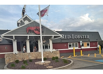 3 Best Seafood Restaurants in Springfield, IL - Expert Recommendations