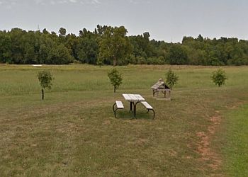 3 Best Public Parks in Springfield, MO - Expert Recommendations