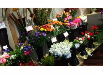 3 Best Florists in Jacksonville, FL - Expert Recommendations