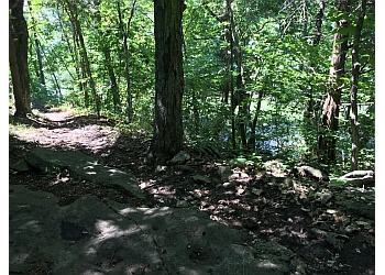 3 Best Hiking Trails in Springfield, MO - ThreeBestRated