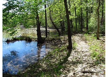 3 Best Hiking Trails in Athens, GA - Expert Recommendations