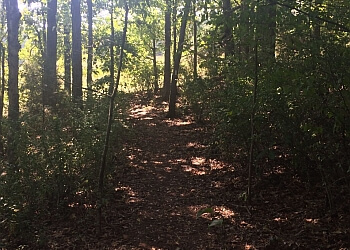 3 Best Hiking Trails in Athens, GA - ThreeBestRated
