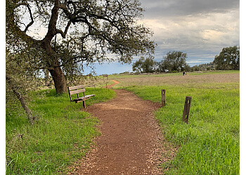 3 Best Hiking Trails in Temecula, CA - Expert Recommendations