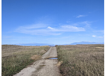 3 Best Hiking Trails in Temecula, CA - Expert Recommendations