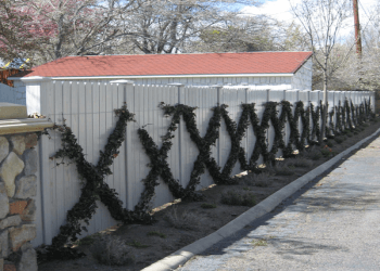 3 Best Fencing Contractors in Reno, NV - Expert Recommendations
