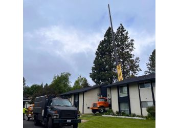 3 Best Tree Services in Spokane, WA - ThreeBestRated