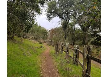 3 Best Hiking Trails in Santa Rosa, CA - Expert Recommendations
