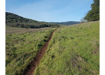 3 Best Hiking Trails in Santa Rosa, CA - Expert Recommendations