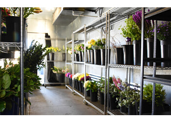 3 Best Florists in Peoria, AZ - Expert Recommendations