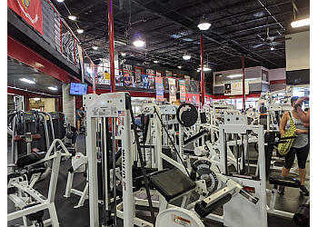 3 Best Gyms in St Petersburg, FL - Expert Recommendations