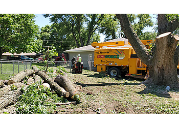 3 Best Tree Services in Omaha, NE - Expert Recommendations
