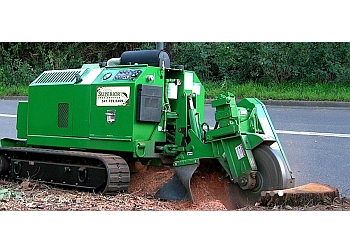 3 Best Tree Services in Eugene, OR - Expert Recommendations