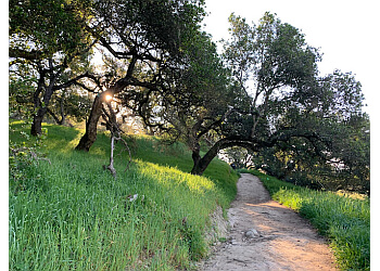 3 Best Hiking Trails in Santa Rosa, CA