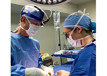 3 Best Plastic Surgeon in Tempe, AZ - Expert Recommendations